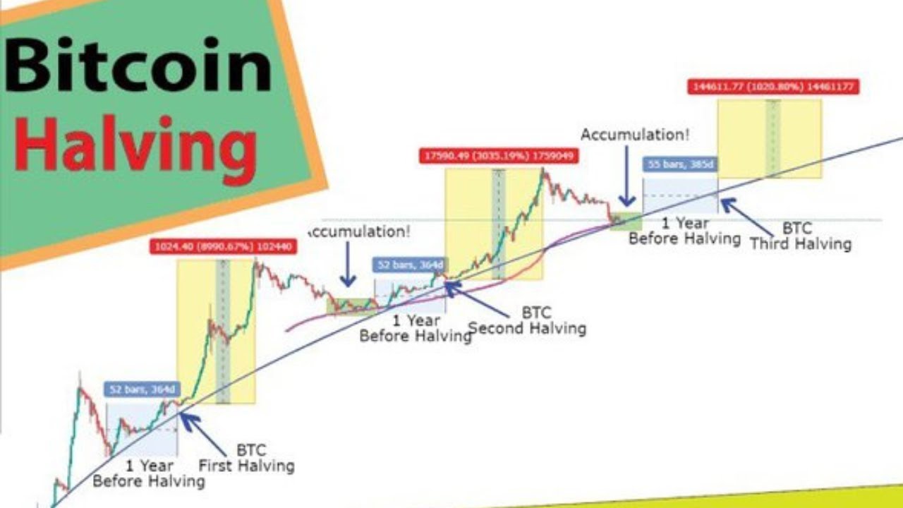 Pre-Halving Dump Inevitable || Protect Yourself Now. - YouTube