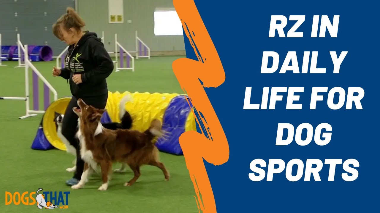 RZ in Daily Life for Dog Sports - YouTube