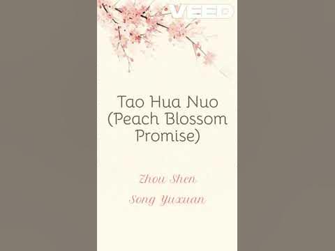 Tan Hua Nuo (Peach Blossom Promise) by Zhou Shen & Song Yuxuan (A Lifetime Love OST) - YouTube