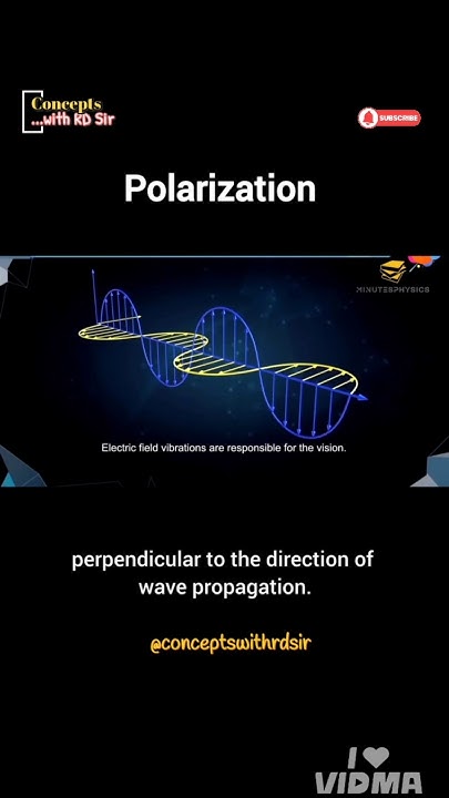 #polarisation #physics #concepts #physicslab - YouTube