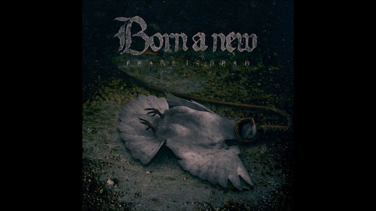 Born a New - Mortuus Est. Pax (feat. Kyle Medina of Bodysnatcher) - YouTube