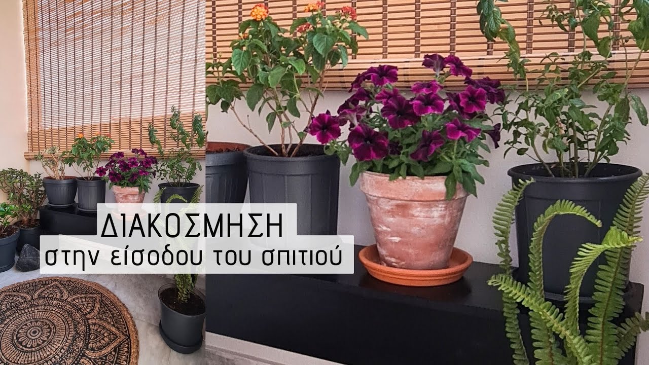 Διακόσμηση στην είσοδο του σπιτιού / Καθαριότητα και βαψίματα ...