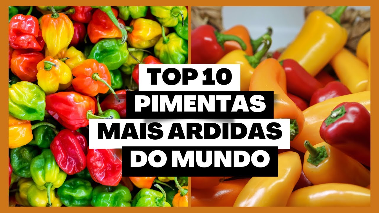 TOP 10 Pimentas Mais Ardidas do Mundo - YouTube