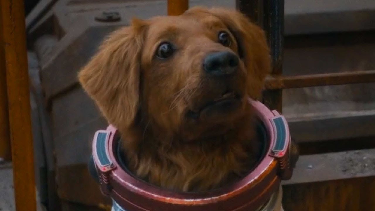 Guardians of the Galaxy Vol. 3 but only Cosmo the Spacedog - YouTube