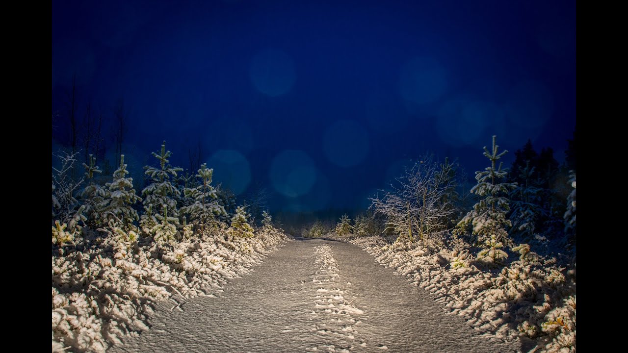 Late night drive on a long dark country road ambience. - YouTube