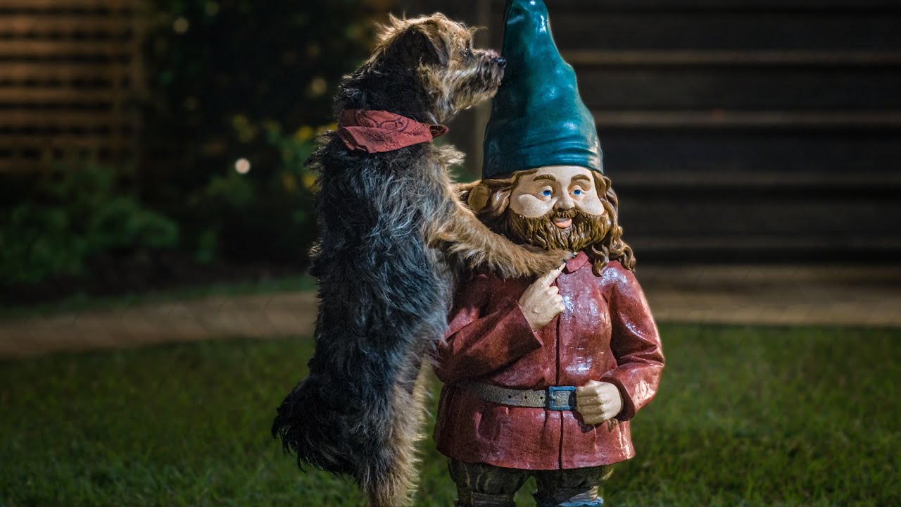 Strays - “Bug likes to Hump Things” (2023) - YouTube