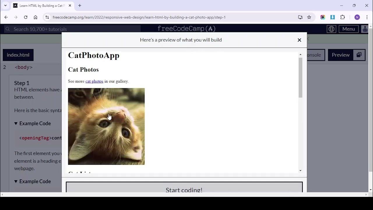 FreeCodeCamp Responsive Web Design : Cat Photo App Solution Step 1-4 - YouTube