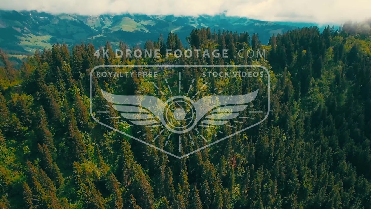 Download Free 4K drone clips - Flying over the forest clip - Royalty ...