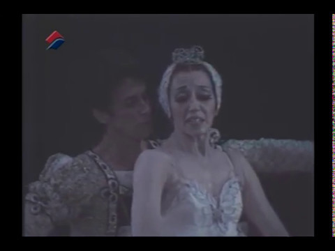 Marta Garcia & Orlando Salgado - Swan Lake adagio(excerpt) - YouTube