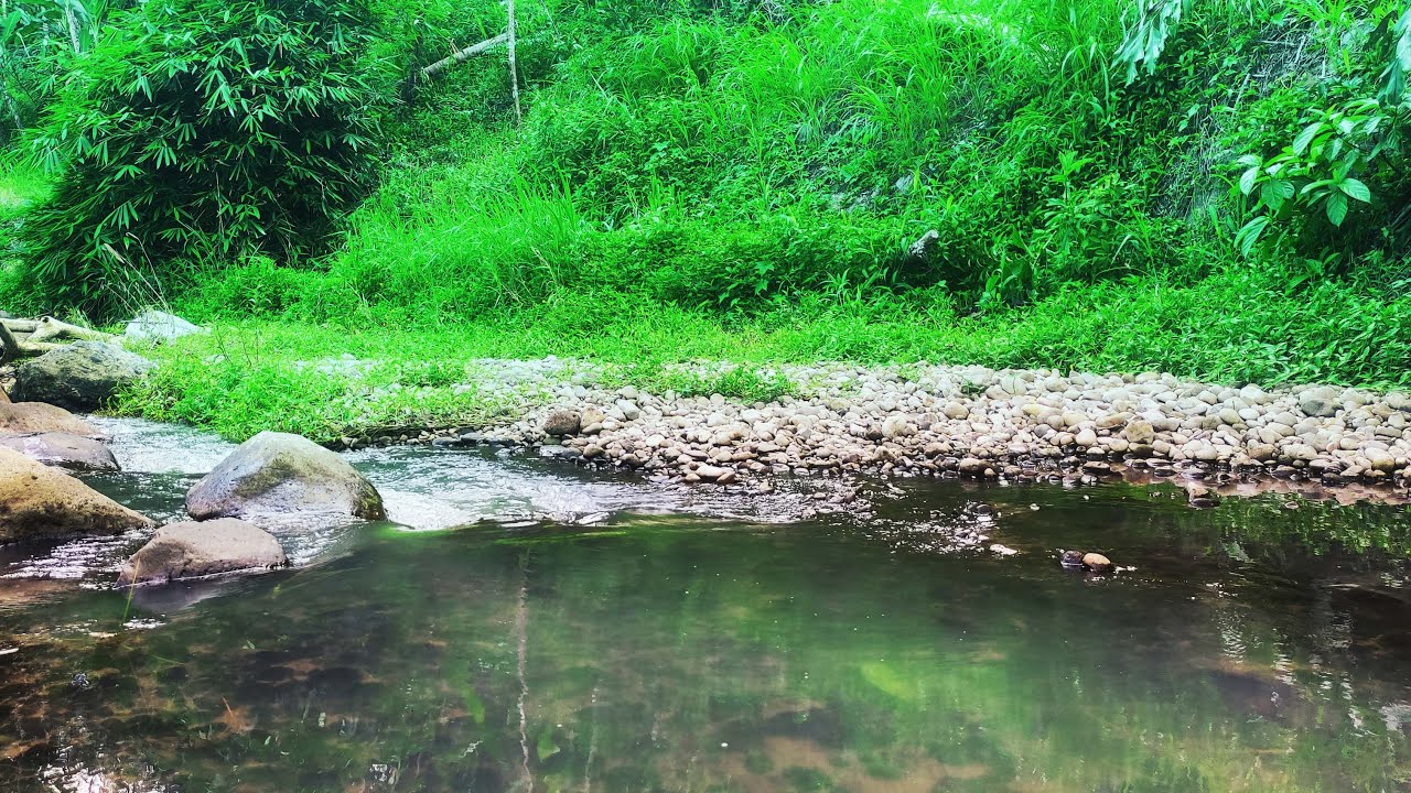 Babbling brook with green views, River ambience to calm the soul ...