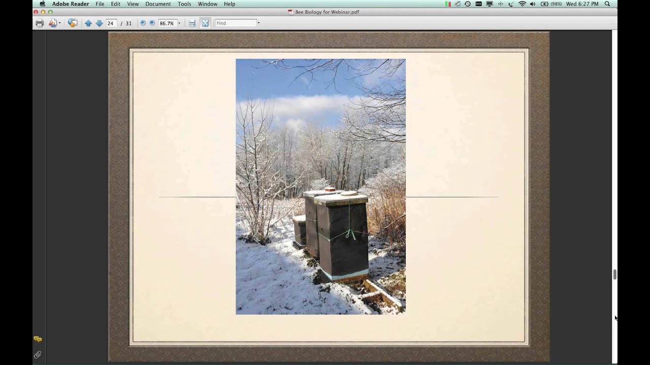 Bee Biology with Larry Connor - YouTube