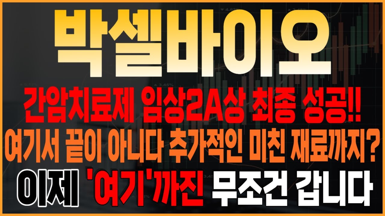 주식 박셀바이오 간암치료제 임상2상 성공 게다가 박스루킨 고형암 특허출원까지 더 큰재료 앞으로 여기까지 무조건