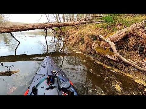 Members' Yak Chat (New Camera Lens Angle) - YouTube