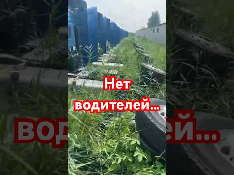 1 000 тягачей #дальнобойщики #дальнобой #грузоперевозки #водитель #фура #логистика #дорога #якутия