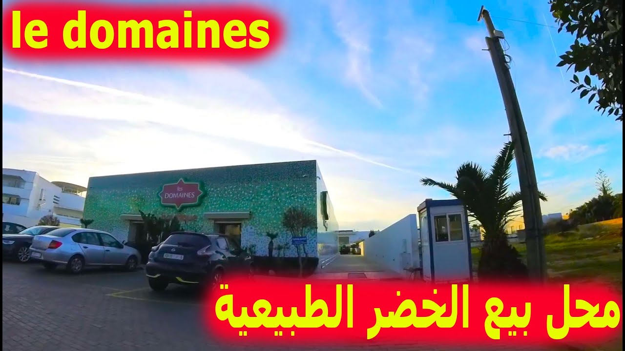 جولة في شارع القدس إلى محل بيع الخضر الطبيعية لدومين le domaines ...