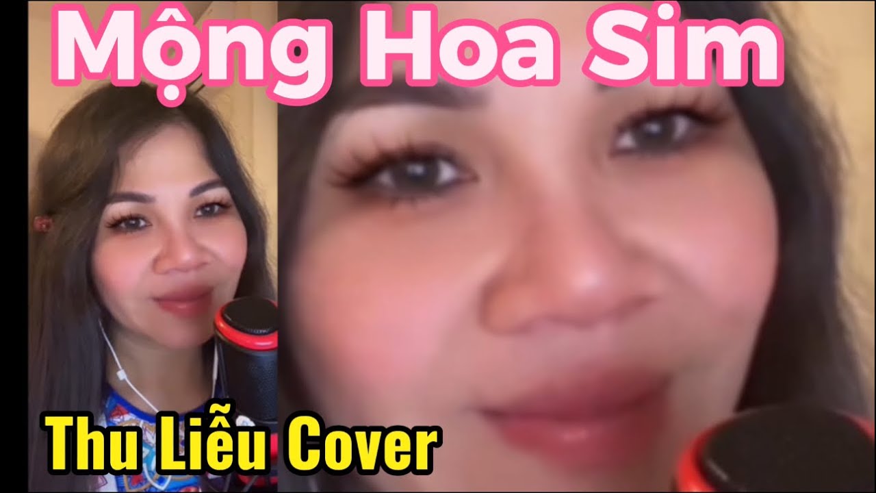 Mộng Hoa Sim (Chuyện Hoa Sim Bên Lưng Đồi) Nhạc Sống Karaoke RumBa Hay ...