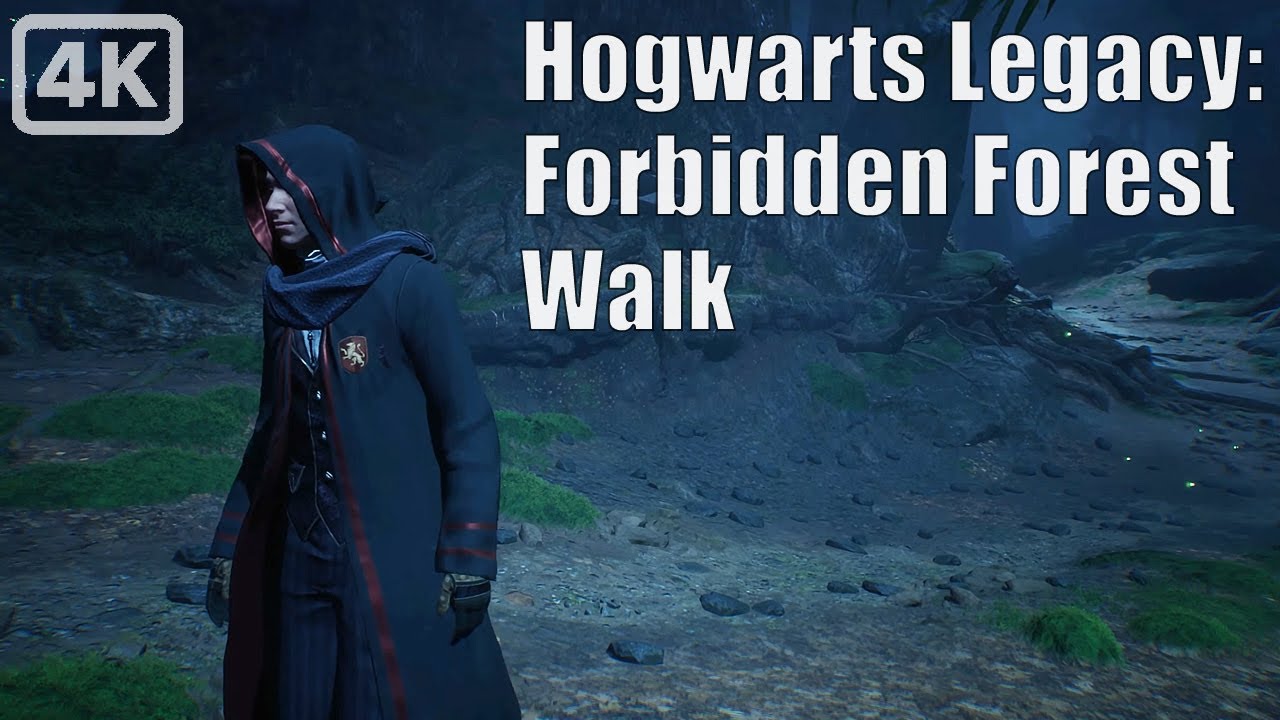 Hogwarts Legacy: Forbidden Forest Walk - YouTube