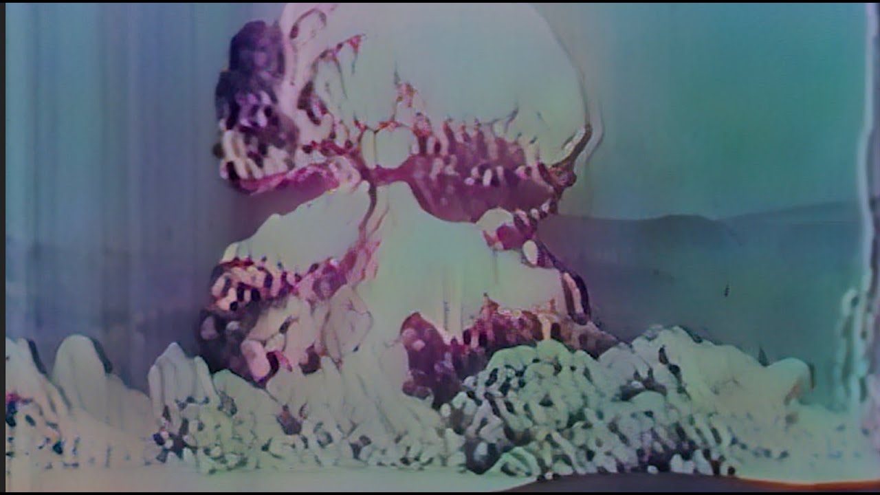 World Symposium for Humanity - Consider Nuclear Energy - Ralph Nader ...