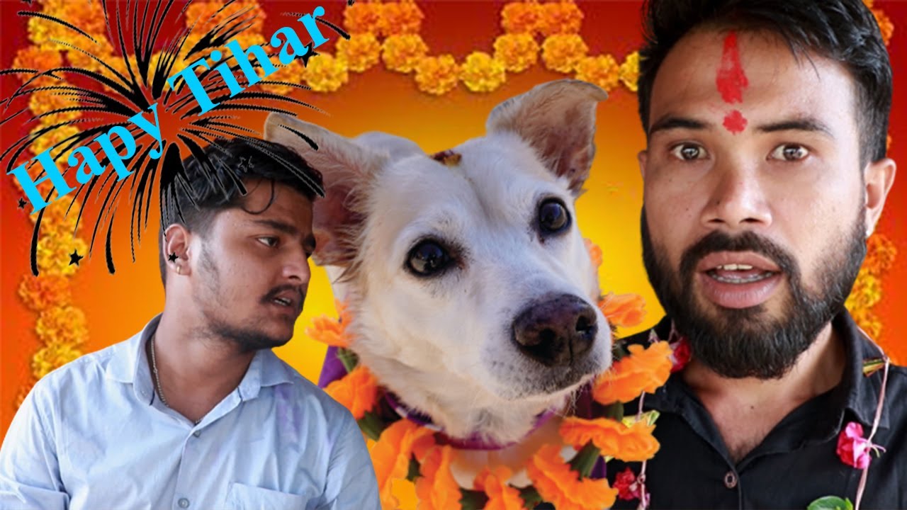 Happy Tihar - Happy Tihar _ Short Comedy - YouTube