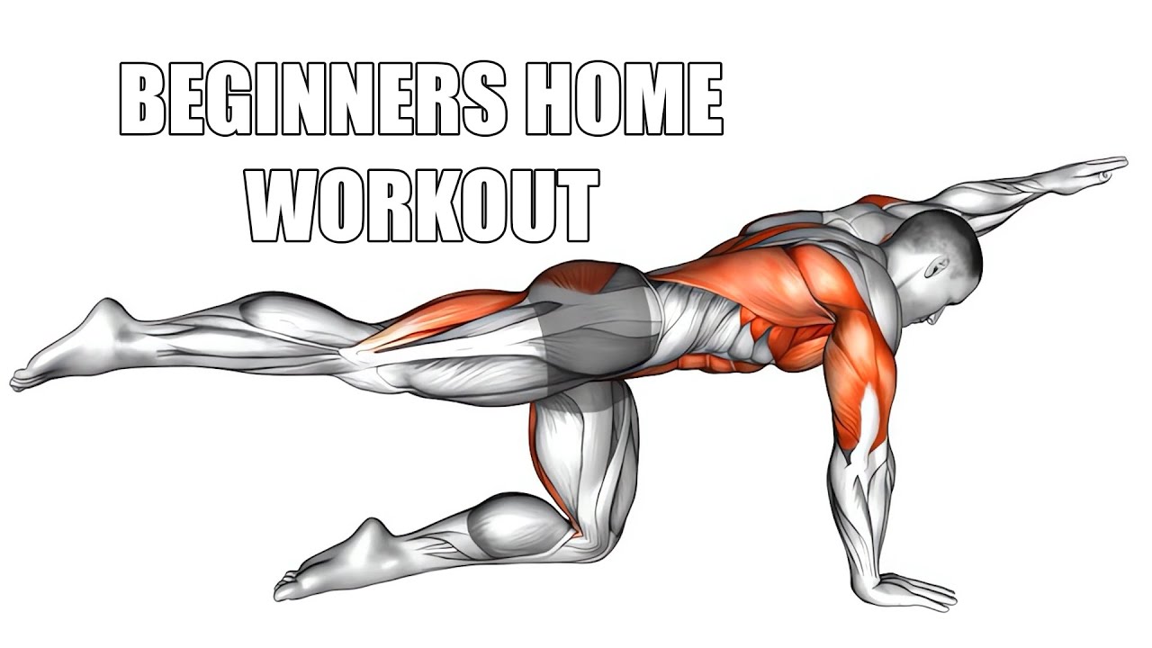 Beginner Home Workout at Home with No Equipment | Easy Full Body ...