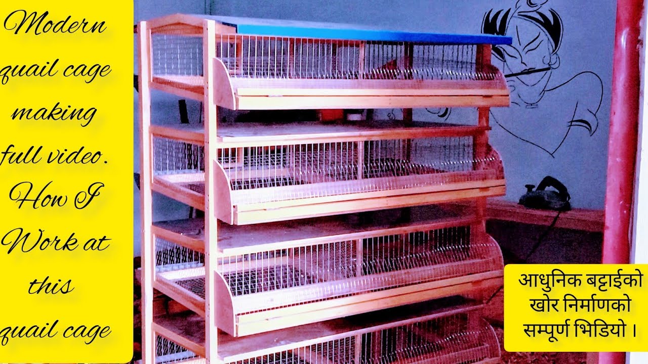 बट्टाईको खोर निर्माणको सम्पूर्ण भिडियो modern quail cage making video # ...