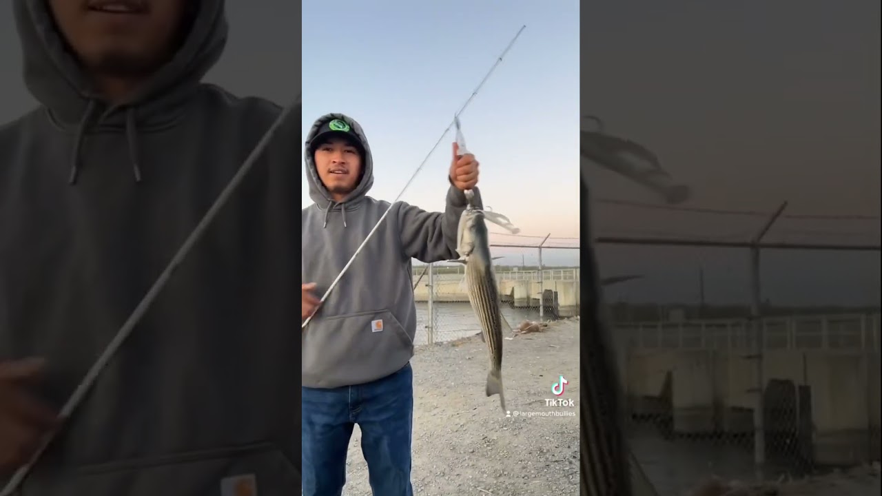 The homie putting in work and supporting the channel and brand ...