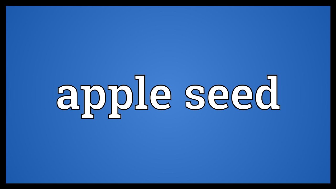 Apple Seed Meaning YouTube apple-seed-meaning-youtube
