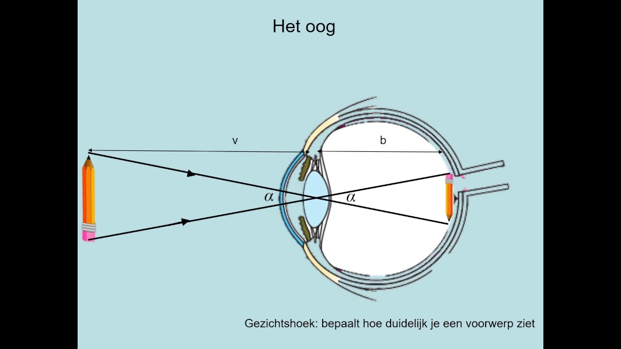 Oog - YouTube