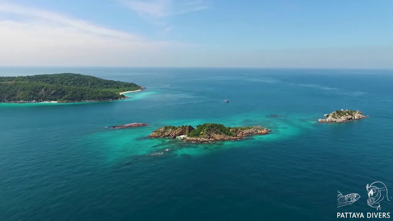 Turtle the Dive Guide in Hardeep Wreck | Diving in Pattaya, Thailand ...