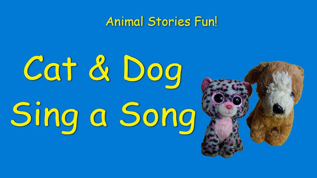 animal stories fun cat dog sing song - YouTube
