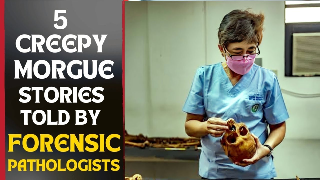 5 CREEPY MORGUE HORROR STORIES TOLD By FORENSIC PATHOLOGISTS Vol 1 ...