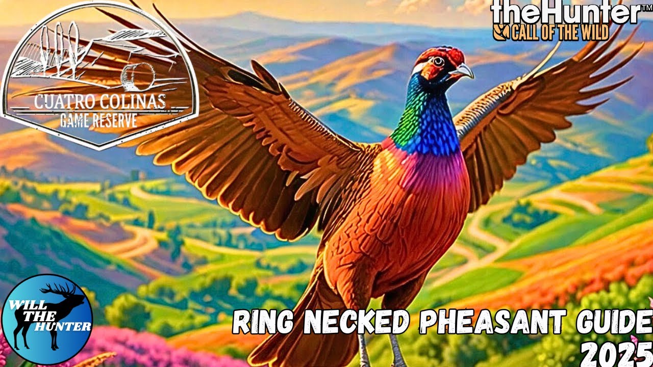 Cuatro Colinas Ring-Necked Pheasant Guide (Hotspot Map Included ...