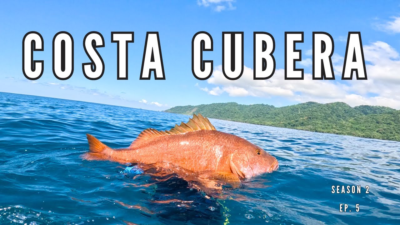 Spearfishing Costa Rica | MASSIVE Cubera Snapper | Big Bull Mahi - YouTube