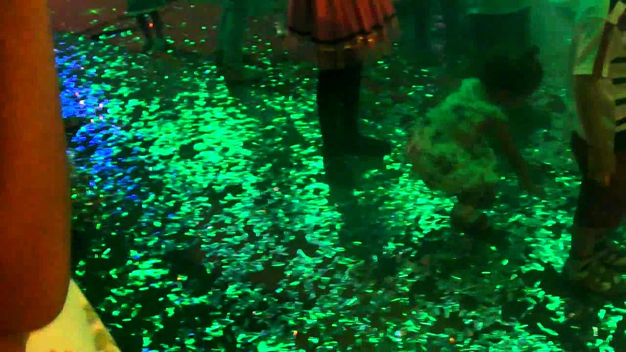 desfile de Matheus Wagner part 2 - YouTube