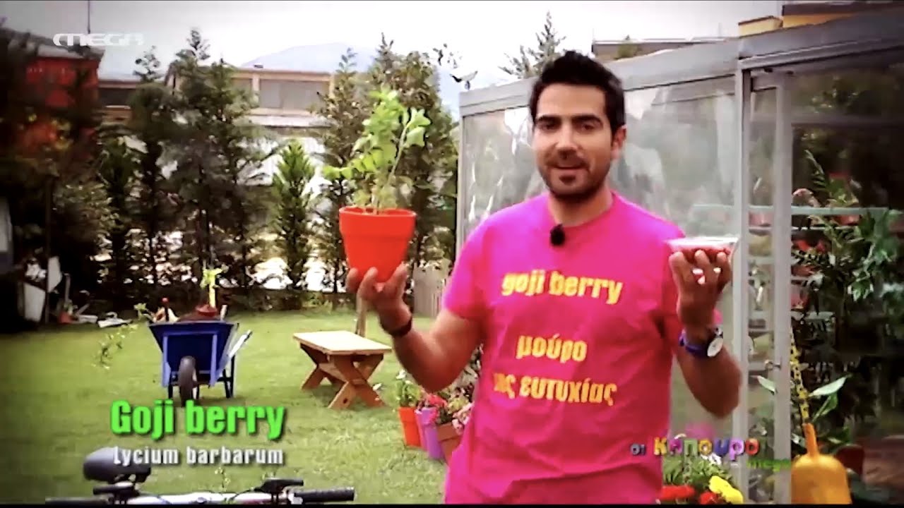 Οι Κηπουροί του Mega - Επεισόδιο 30 HD - YouTube
