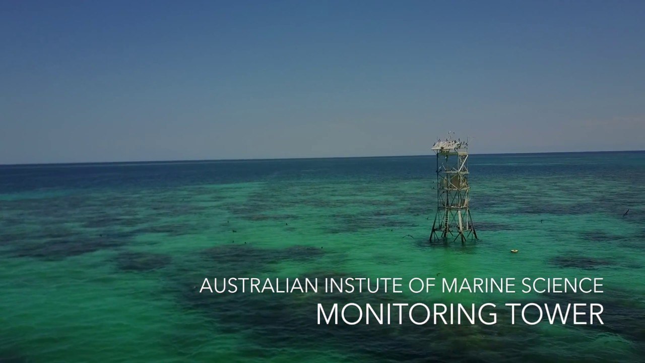 Davies Reef Queensland - YouTube