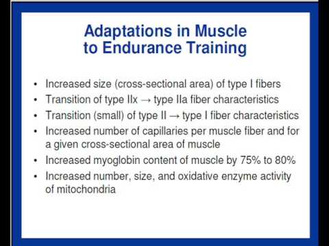 Aerobic Fitness Exercise Adaptation - Fitness | NoahStrength.com