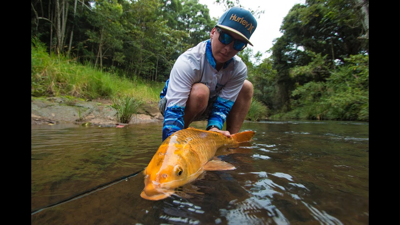 FLY FISHING FOR CARP Cast Mag Presents - Carp Lyfe - YouTube