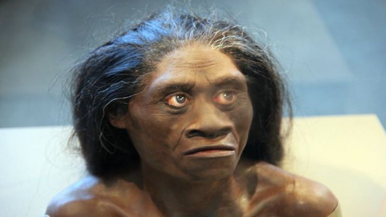 Zana a Mulher Selvagem que parecia um Yeti uma parente de pé grandes ...