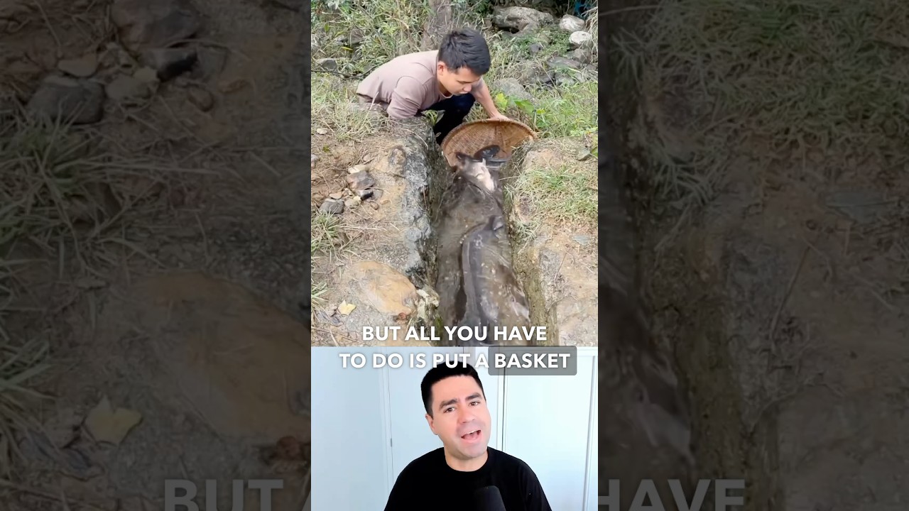 Simple fishing technique 🐠 - Fishing