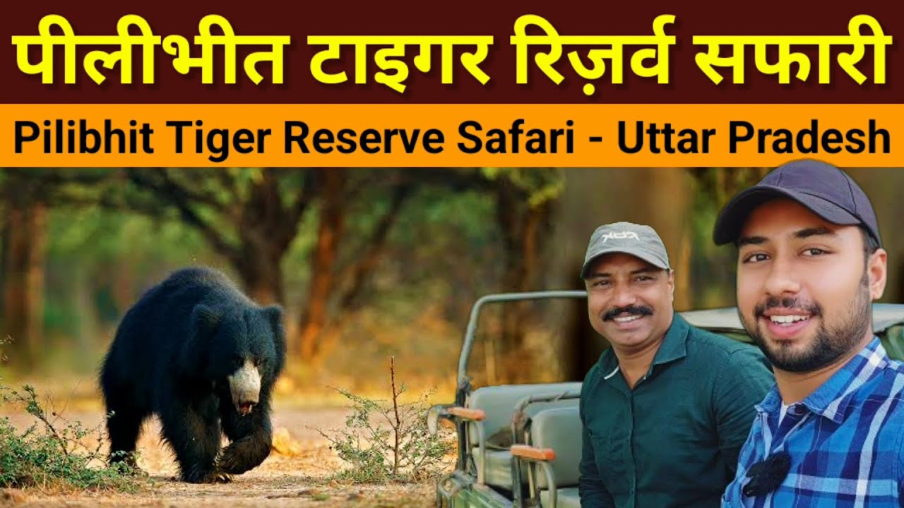 Pilibhit | Pilibhit Tiger Reserve | Jungle Safari | Pilibhit Wildlife ...