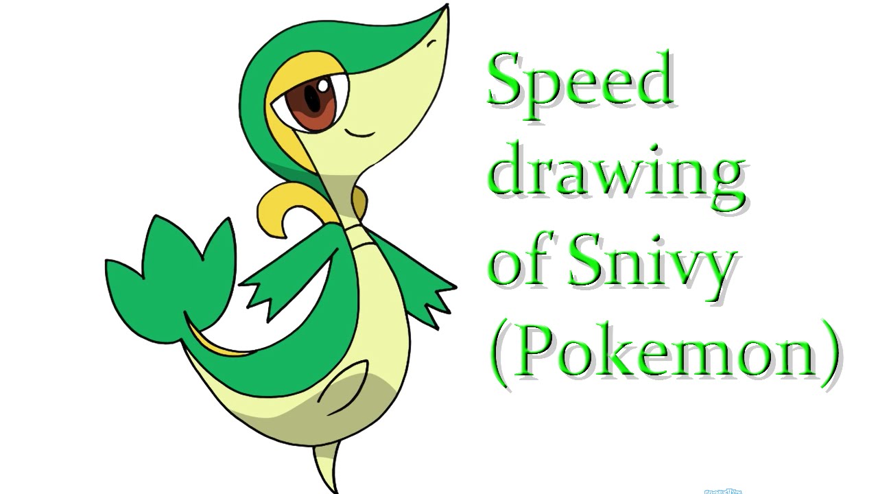 Speed drawing of Snivy from (Pokemon) - YouTube