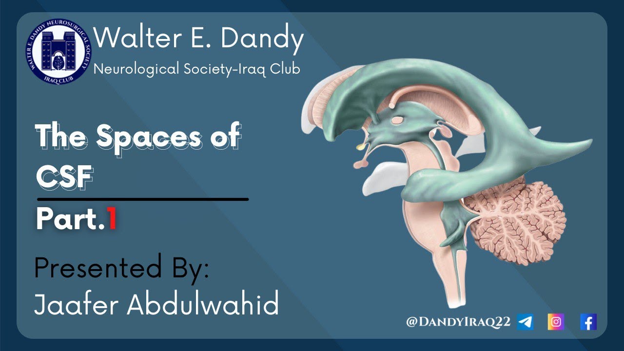 The Spaces of CSF | Part.1 - YouTube