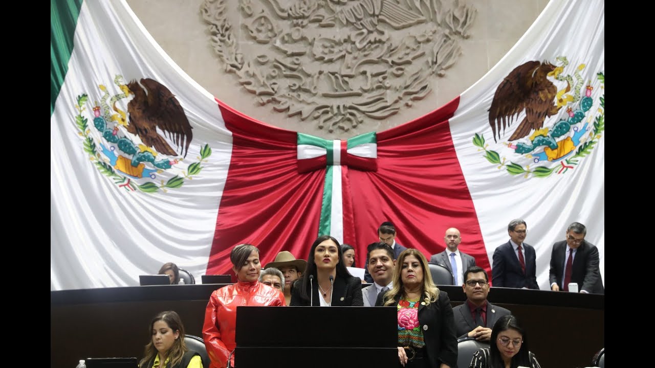 Dip. Bennelly Jocabeth Hernández Ruedas (MORENA) / Fundamentación de ...