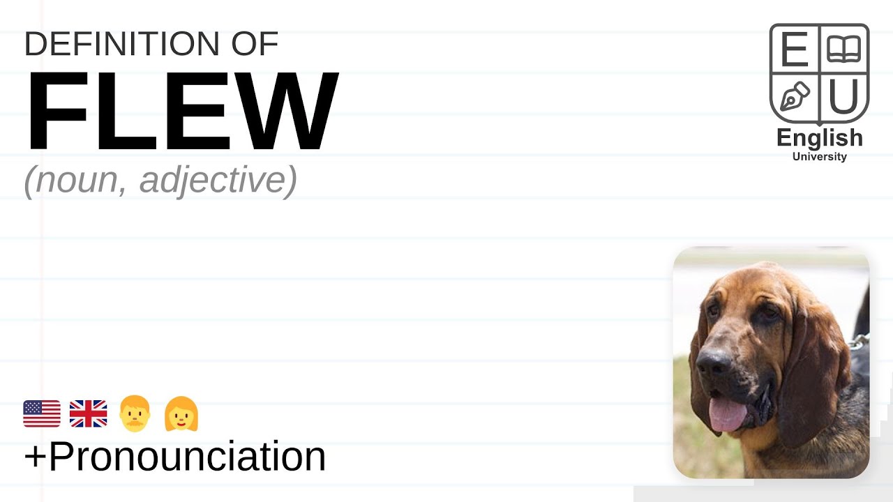 FLEW meaning, definition & pronunciation | What is FLEW? | How to say ...