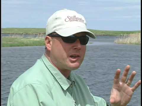 Stillwater advice Lesson 1.... Phil Rowley shares his thoughts on fishing leaches in stillwaters ...