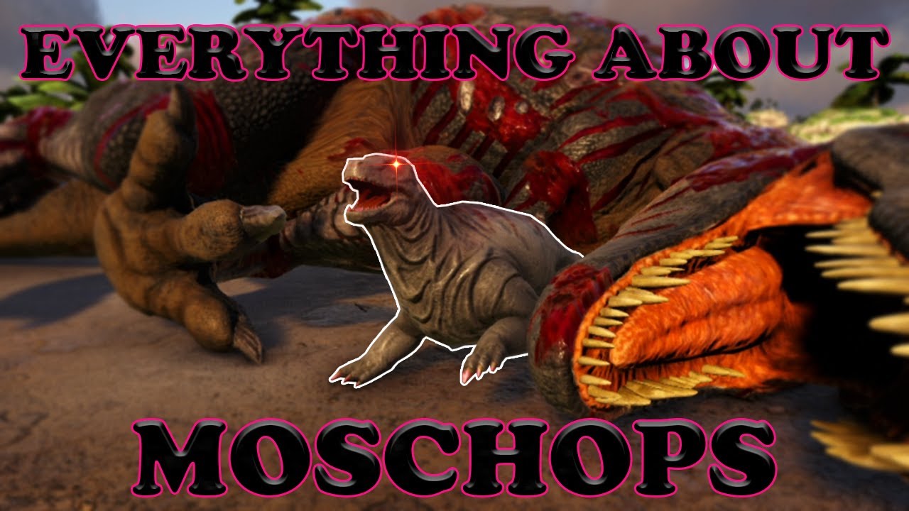 Everything You Need to Know About Moschops - YouTube