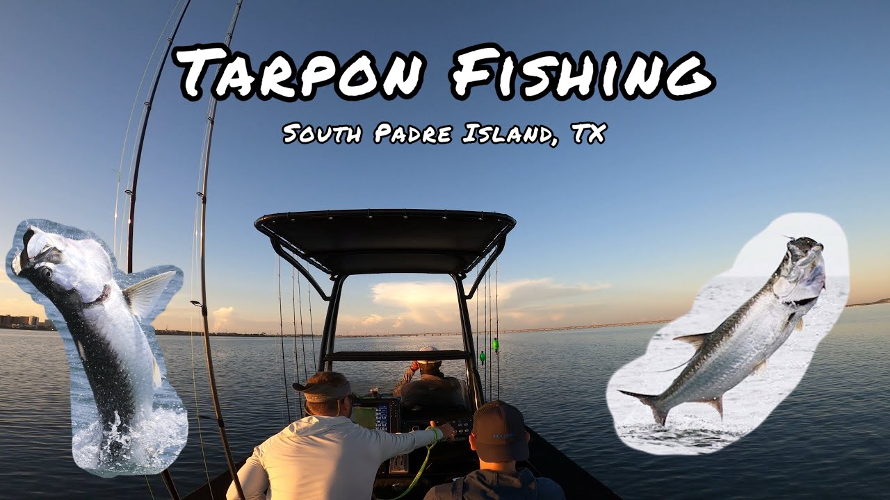 Chasing Giant Tarpon in South Padre Island | Texas - YouTube