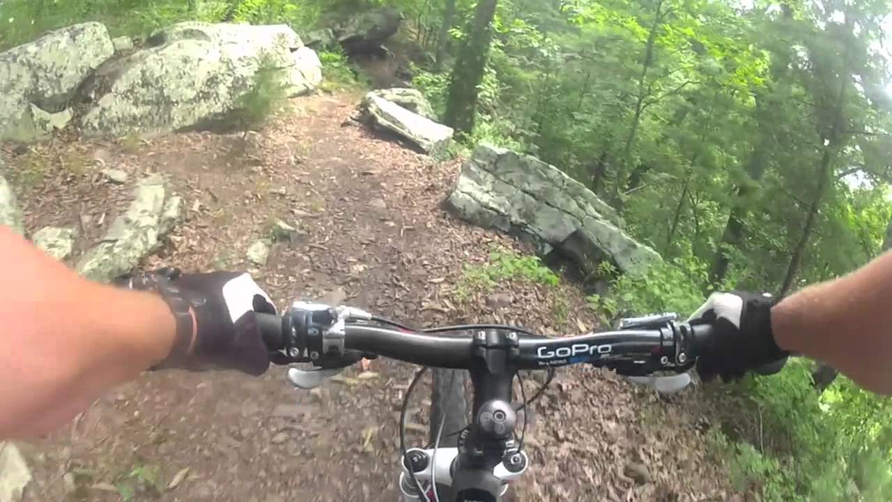 White Mountain Biology Trails - Collegedale, TN - YouTube