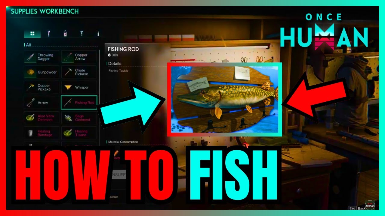 How To FISH In Once Human (FULL GUIDE) - YouTube